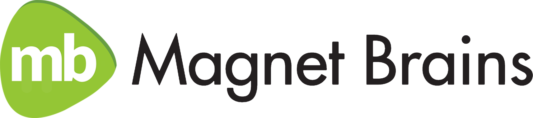 Magnet Brains Training Program